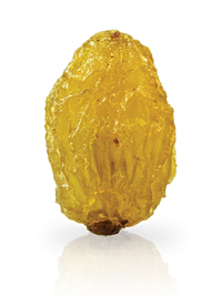 Varieties - Australian sultanas
